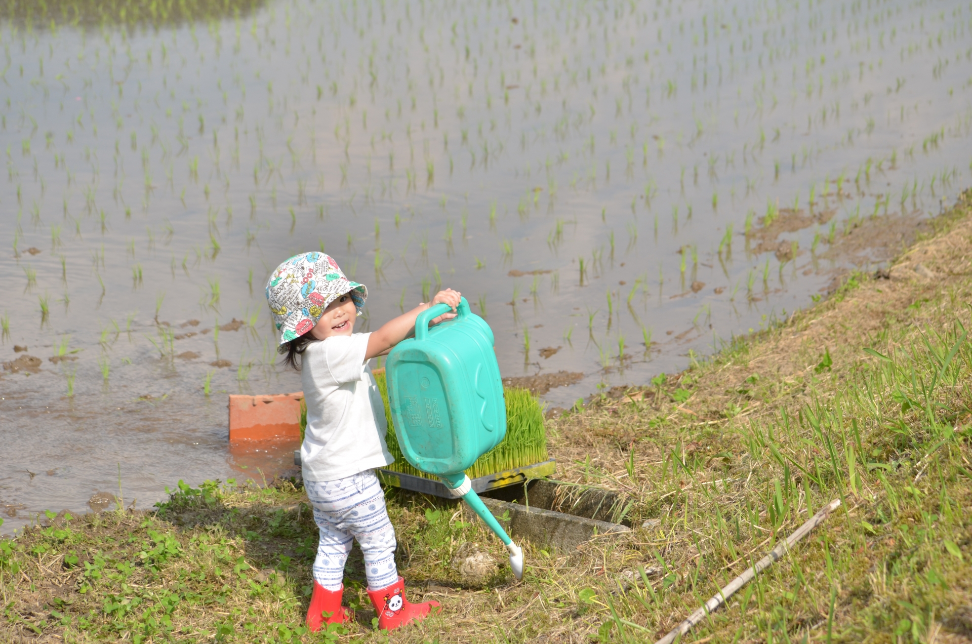登呂遺跡で「田植え・田下駄体験」6月8・9日開催 | ひまぷら